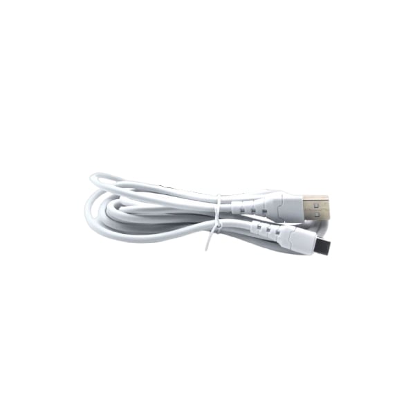 Aspor A102l 2m Length Type-C Data Cable - OTC.LK